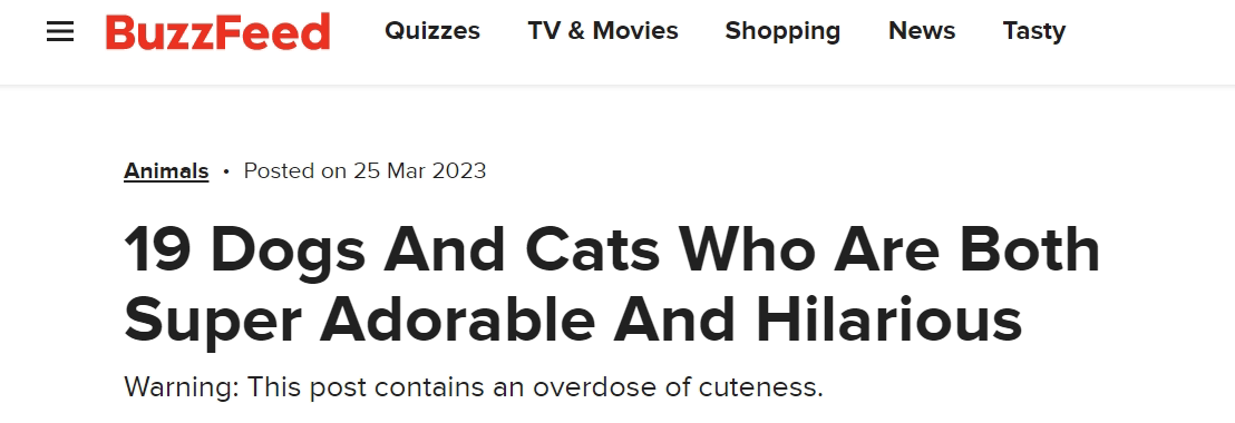 15+ Subheading Examples To Help You Write Better | Simplified